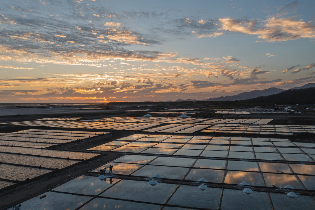 Colima Salt Co.